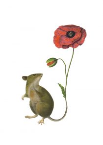 Amy Ross | Kolaj Magazine Artist Directory