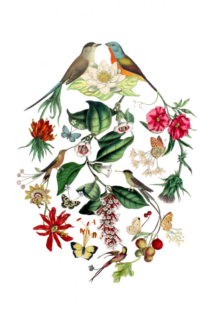 Amy Ross | Kolaj Magazine Artist Directory