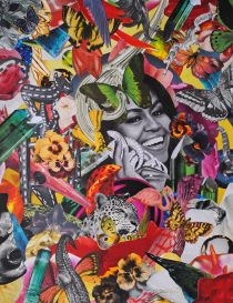 Colleen Cunningham | Kolaj Magazine Artist Directory