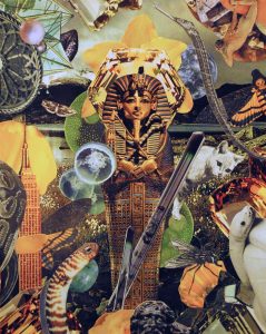 Colleen Cunningham | Kolaj Magazine Artist Directory