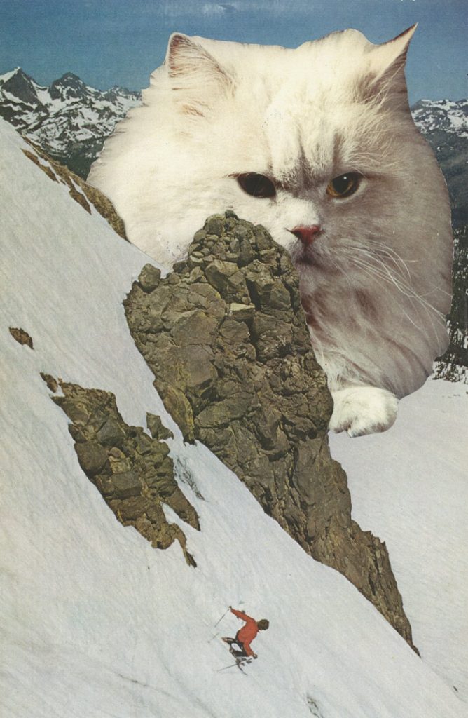 Jenny Bou | Kolaj Magazine Artist Directory