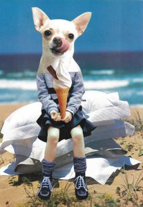 Hester Jones | Kolaj Magazine Artist Directory