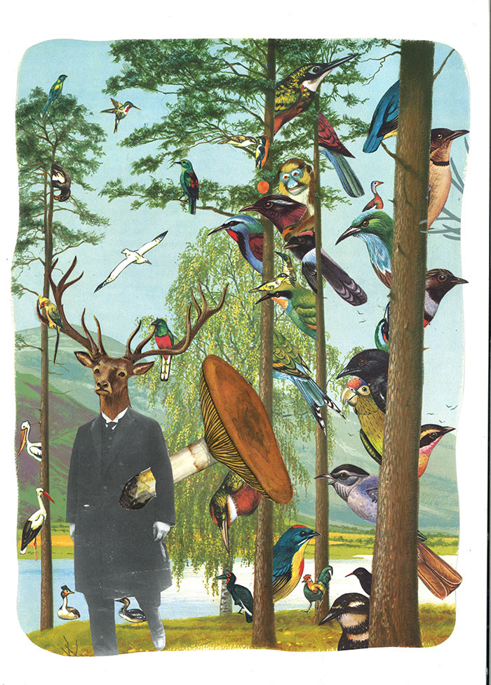 Marta Janik | Kolaj Magazine Artist Directory