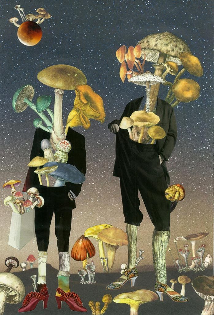Marta Janik | Kolaj Magazine Artist Directory