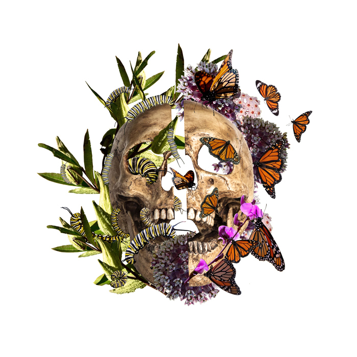 Amara Hartman | Kolaj Magazine Artist Directory