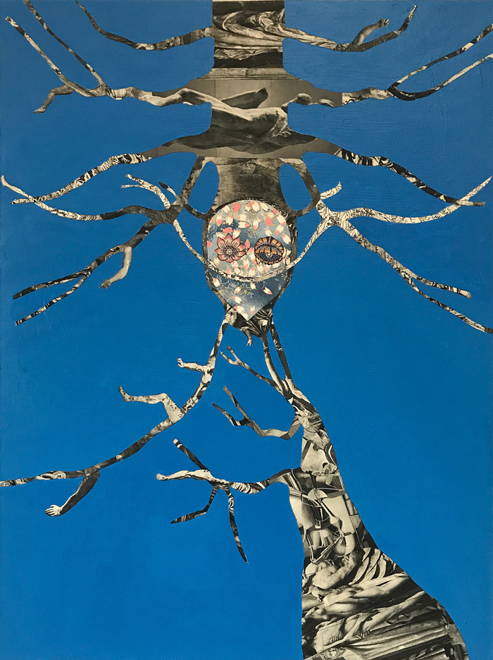Nancy Goodman Lawrence | Kolaj Magazine Artist Directory