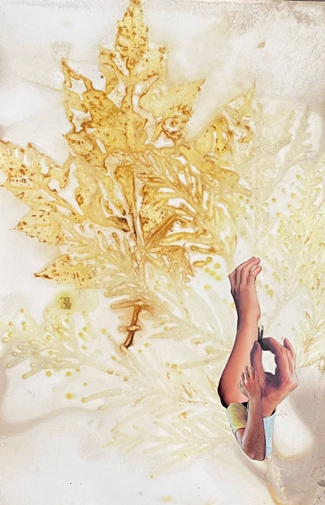DeAnna Skedel | Kolaj Magazine Artist Directory