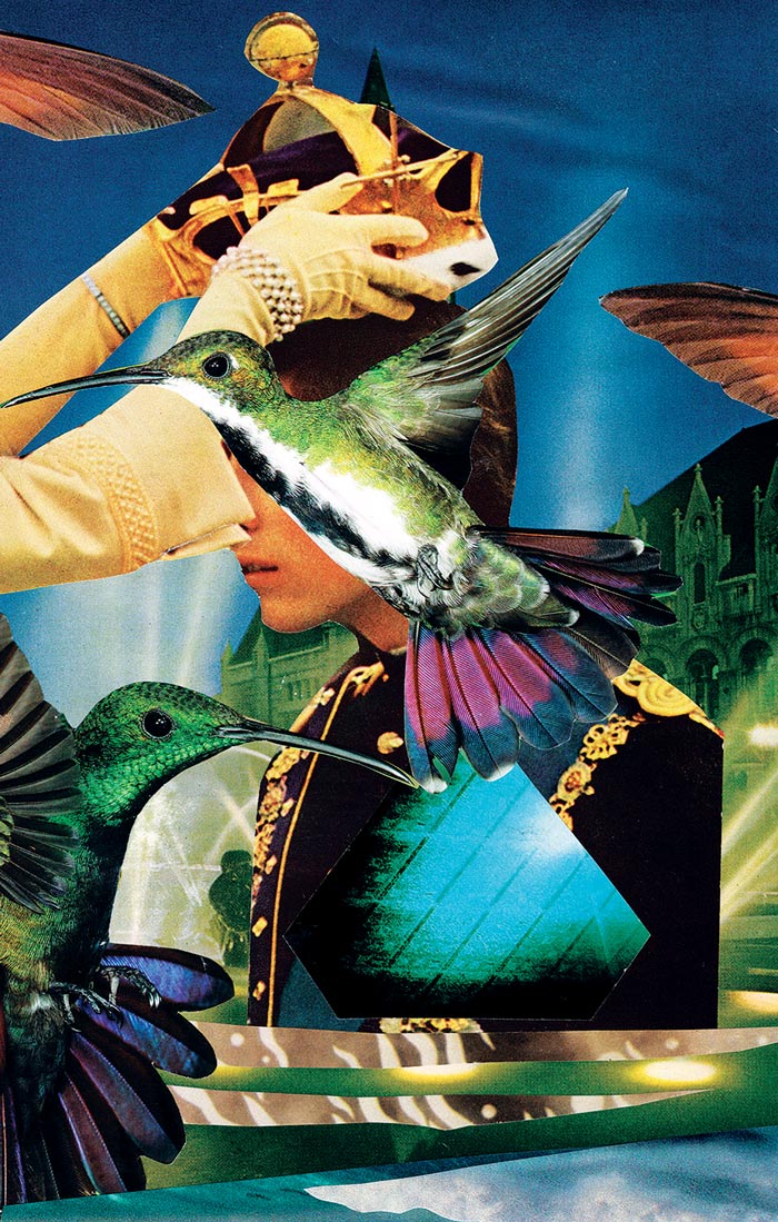 Tara Cochrane | Kolaj Magazine Artist Directory