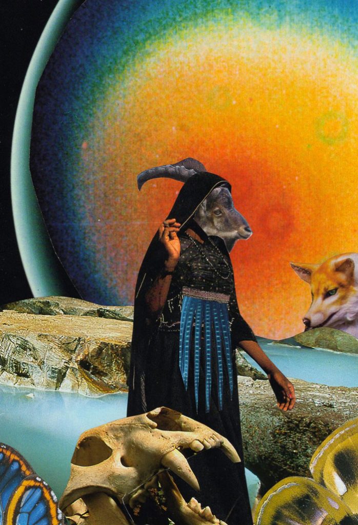 Tara Cochrane | Kolaj Magazine Artist Directory