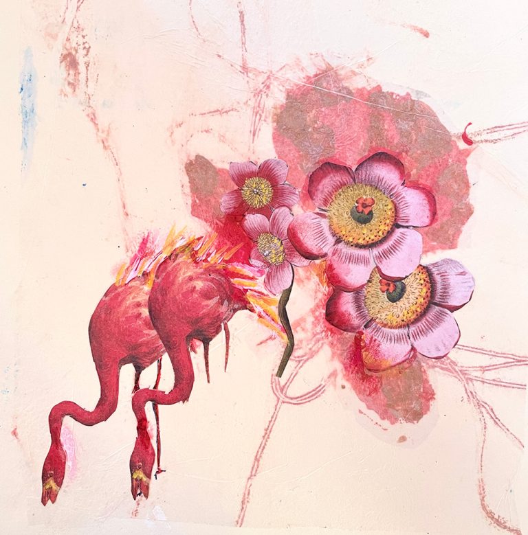 Kolaj Magazine Artist Directory