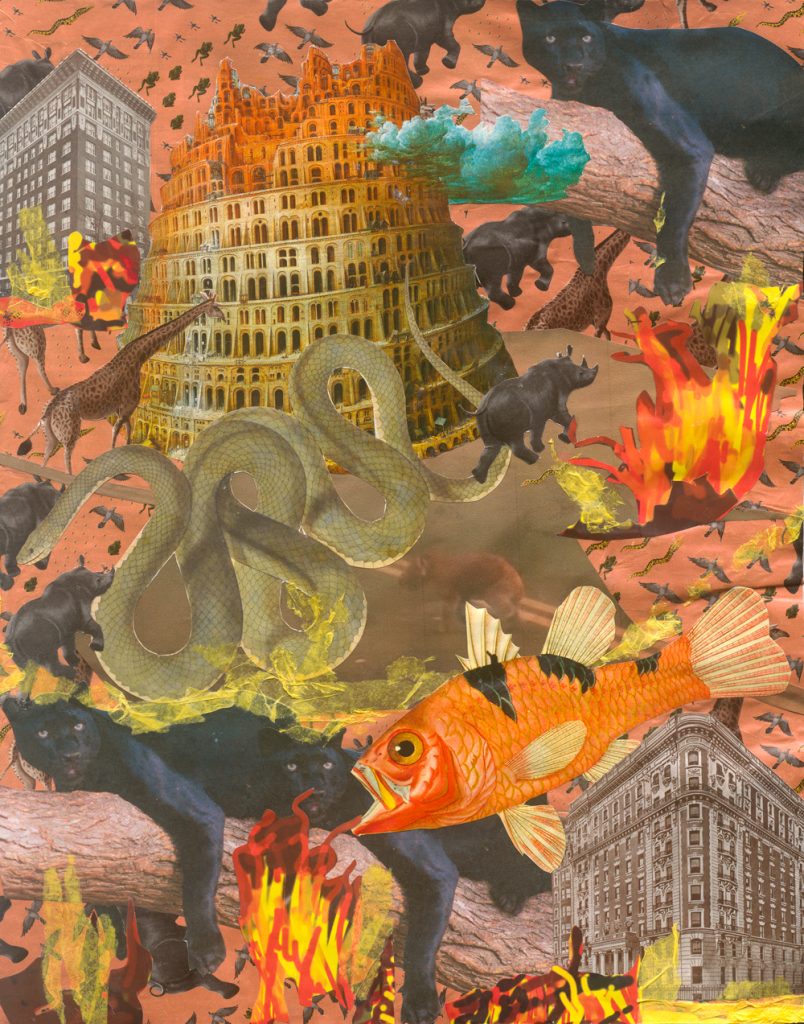 Kolaj Magazine Artist Directory