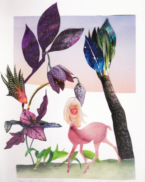 Open the Chute & Provoke the Intuitive – Kolaj Magazine