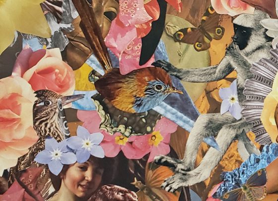 Dense Compositions with an Endless Supply – Kolaj Magazine