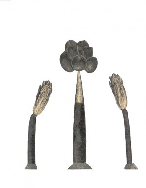 Undercurrents at Jack Fischer – Kolaj Magazine