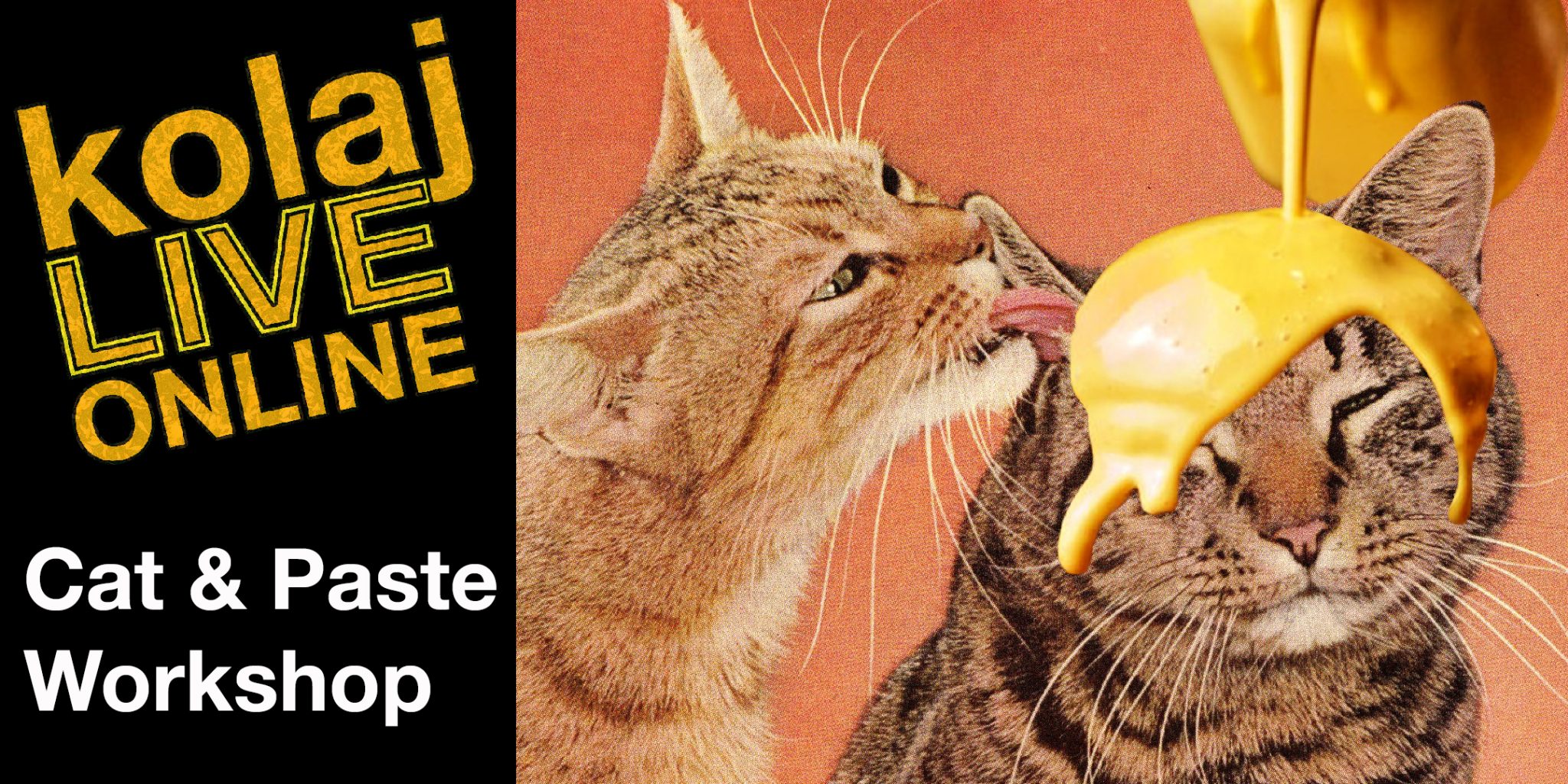 It’s Purrfect – Kolaj Magazine