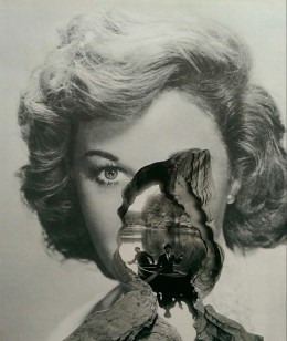 Driven to Destruction at Clerkenwell Gallery – Kolaj Magazine