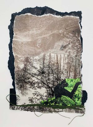 Collage & Illustration – The Awakening – Kolaj Magazine