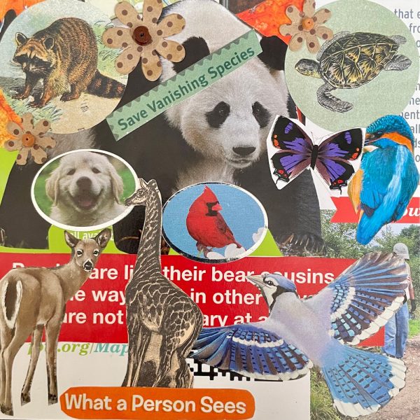 Kolaj Magazine – A quarterly, printed magazine about contemporary collage.